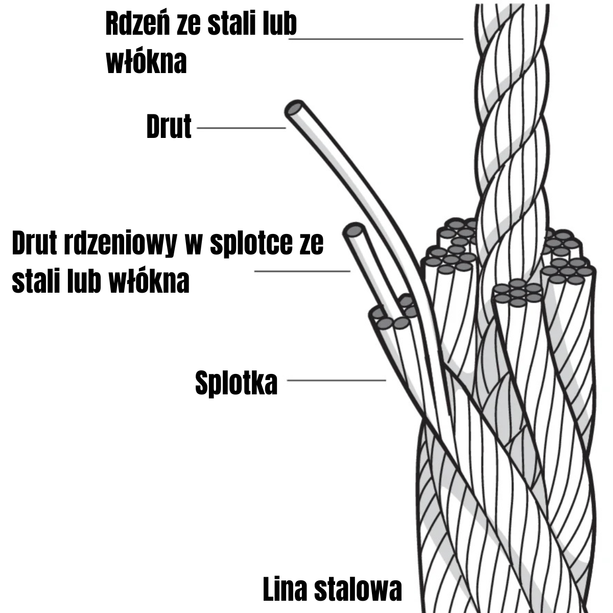 Opis techniczny liny – budowa, rdzeń i oznaczenia | Certex Polska